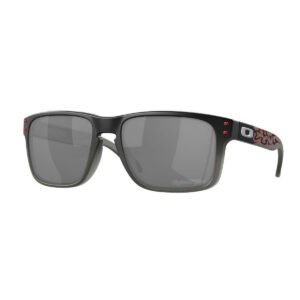 SUNČANE NAOČARE OAKLEY HOLBROOK TLD