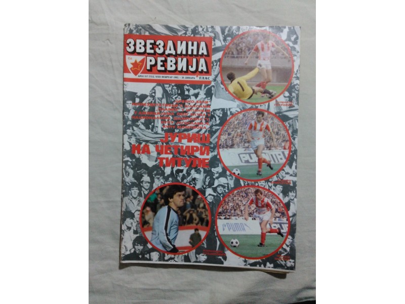 Zvezdina revija broj 317