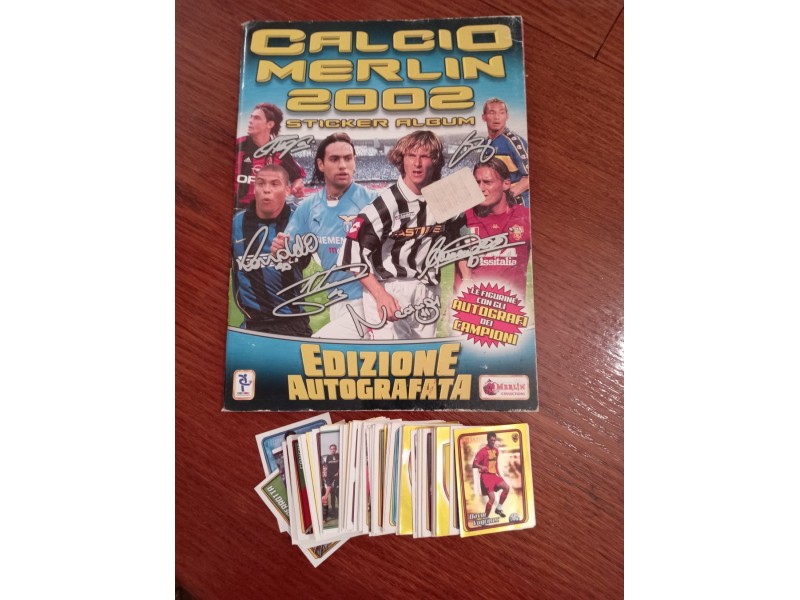 Calcio Merlin 2002