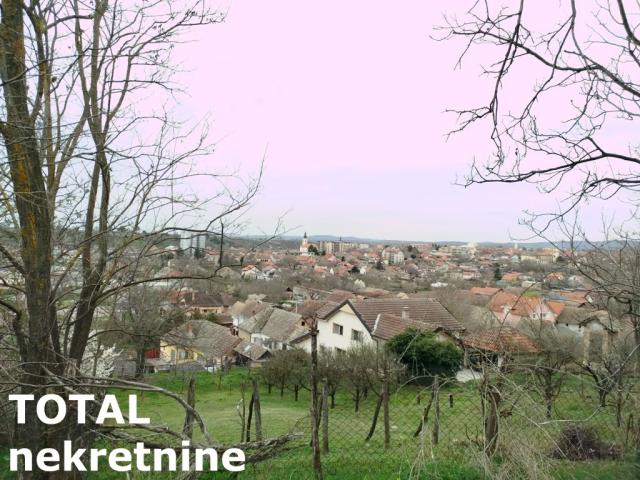 IRIG - CENTAR - 481.00 m2