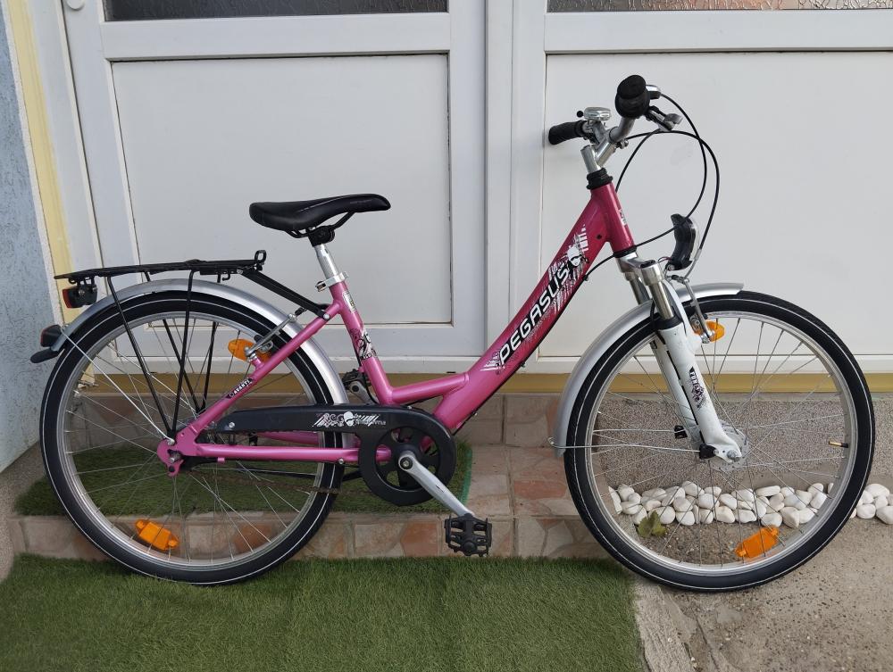 PEGASUS alu 24", Shimano Nexus, LED svetla
