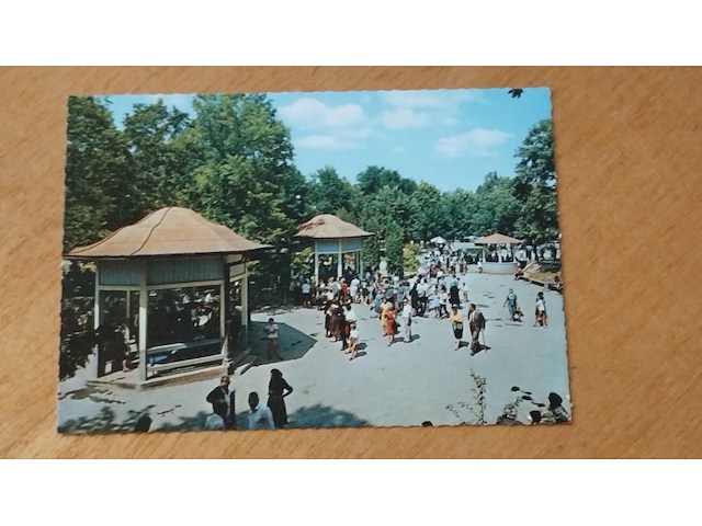 Vrnjačka Banja - Snežnik - Čista