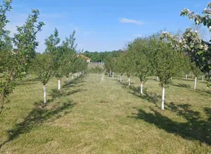 Prodaja Građevinsko zemljište - Kragujevac, Stanovo