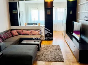 Izdavanje Stan - Beograd, Novi Beograd: Mladost