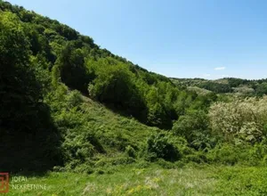 Prodaja Građevinsko zemljište - Gornji Milanovac