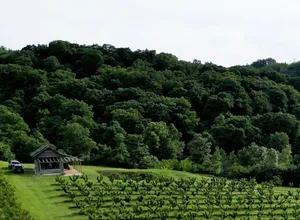 Prodaja Vila - Beograd, Grocka Centar