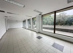 Izdavanje Lokal - Beograd, Savski Venac: Dedinje