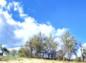 Prodaja Plac - Užice, Kremna, Radusa
