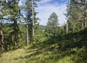 Prodaja Građevinsko zemljište - Užice, Kremna, Radusa