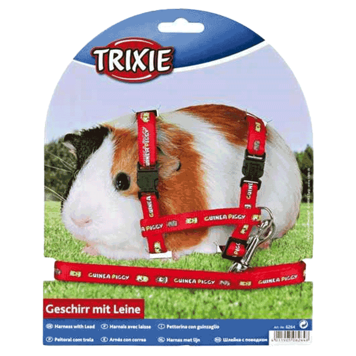 Trixie Am sa povodcem za morsko prase crveni
