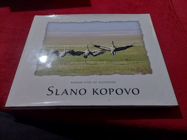 Slano kopovo Ramsar sites of Vojvodina RETKO