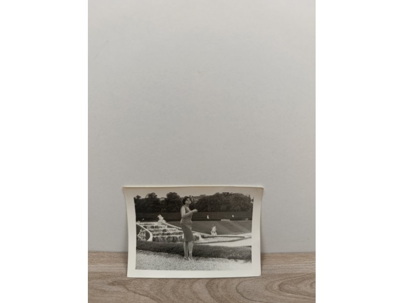 Vintage fotografija dama