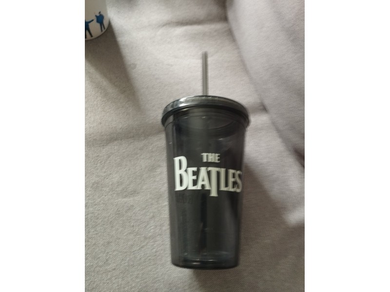 The Beatles plasticna casa - termos