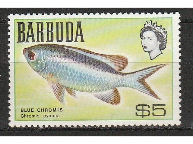 Barbuda - 1969 - Blue Chromis (Chromis cyanea)