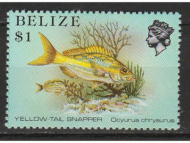 Morski život sa koralnog grebena Belizea - 1988