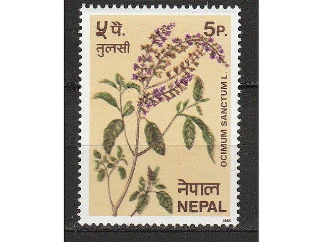 Nepal - 1980 - Holy Basil (Ocimum sanctum)