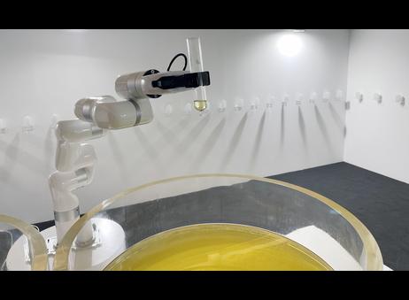 Industrial Robot UFACTORY xARM6