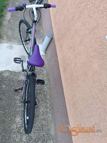 Bicikl Explorer Daisy 24"
