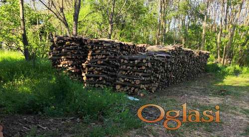 Prodajem ogrevno drvo (bagrem) 140 m3 po ceni 6000 dinara/m3 (bez prevoza)