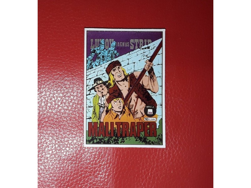 Magnet za frižider – LMS (oko 7 x 5 cm)