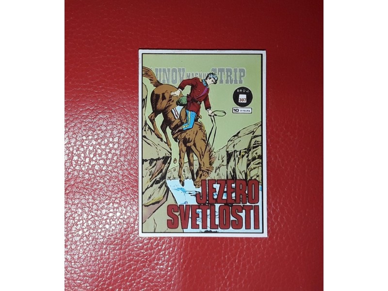 Magnet za frižider – LMS (oko 7 x 5 cm)