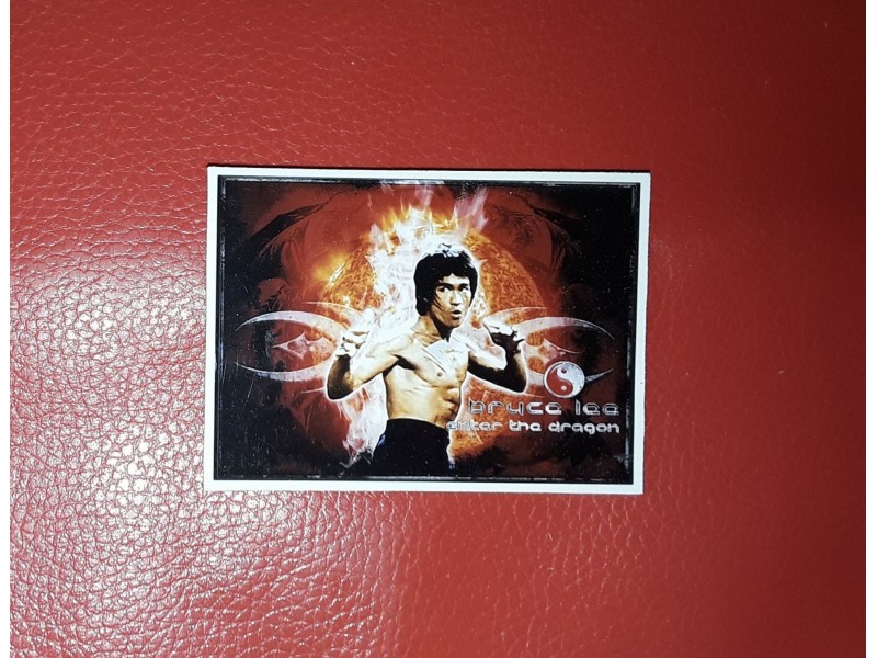 Magnet za frižider – motiv Brus Li (oko 7 x 5 cm)