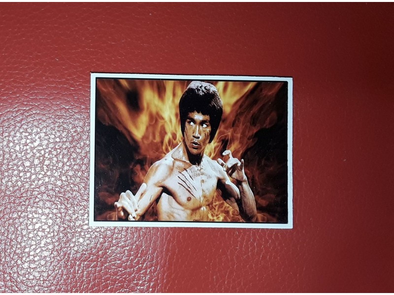Magnet za frižider – motiv Brus Li (oko 7 x 5 cm)
