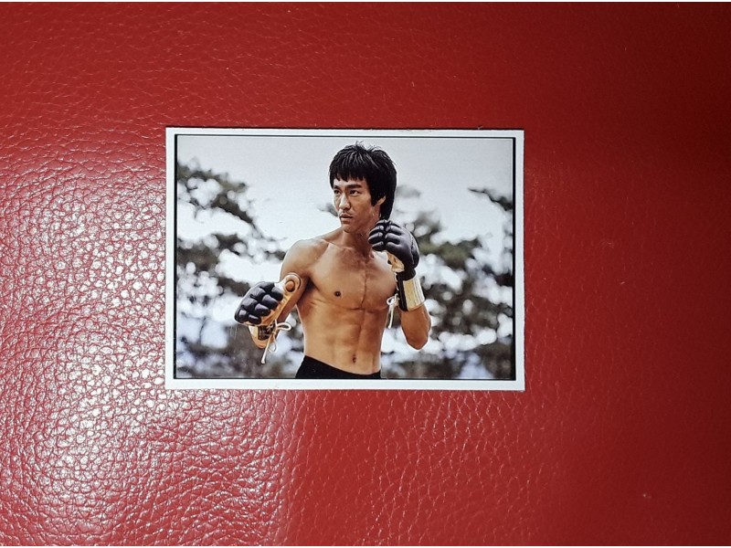 Magnet za frižider – motiv Brus Li (oko 7 x 5 cm)