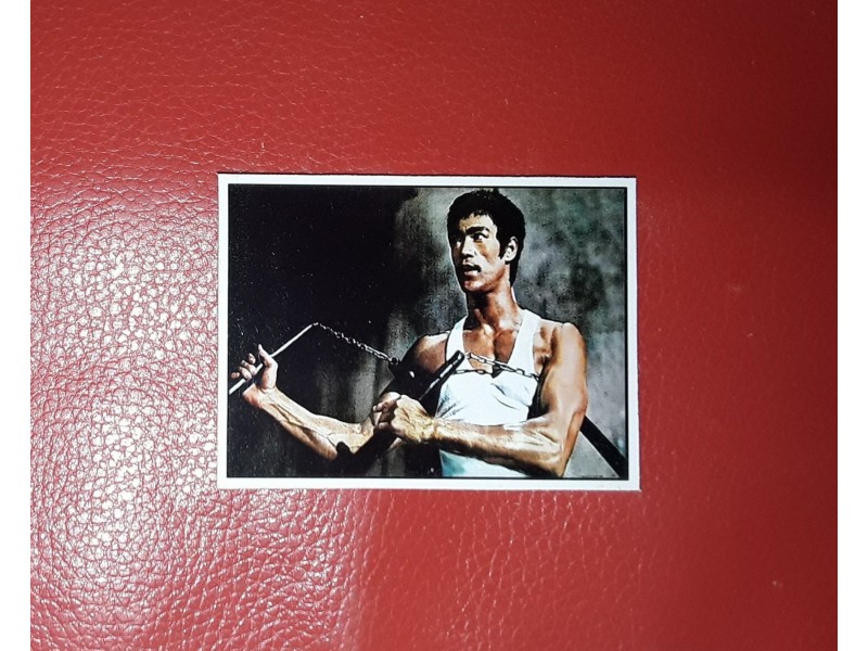 Magnet za frižider – motiv Brus Li (oko 7 x 5 cm)