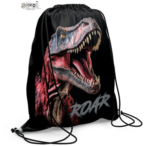 Torba za patike 46*35.50cm SC3352 NS35078