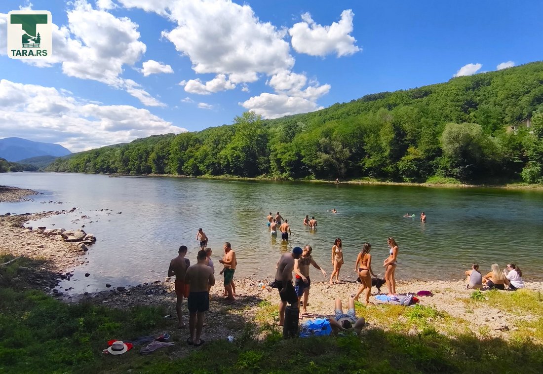 Kamp Green Bear Outdoor – kamp pored Drine, Bajina Bašta i Tara