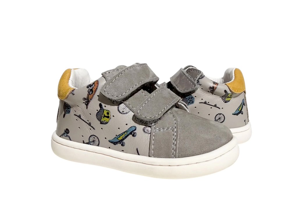TODOR 266855 Grey scate