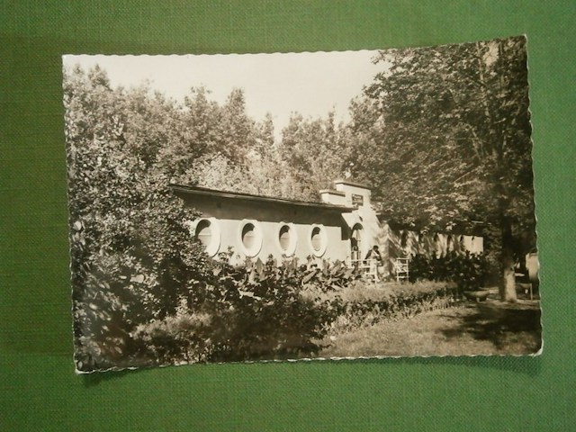 HARKANJ: APARTMAN ILONA PUTOVALA 1969.