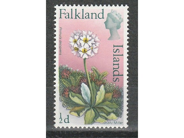 Foklandska ostrva - 1968 - Dusty Miller (Primula decipi