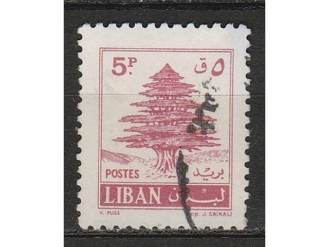 Libanski kedar - 1961