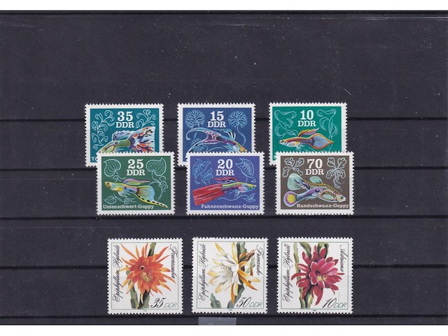 DDR Lot  Flora i Fauna