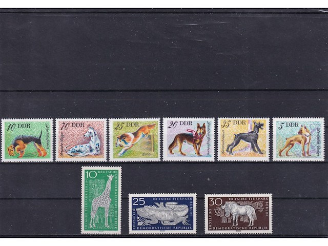 DDR Lot  Fauna