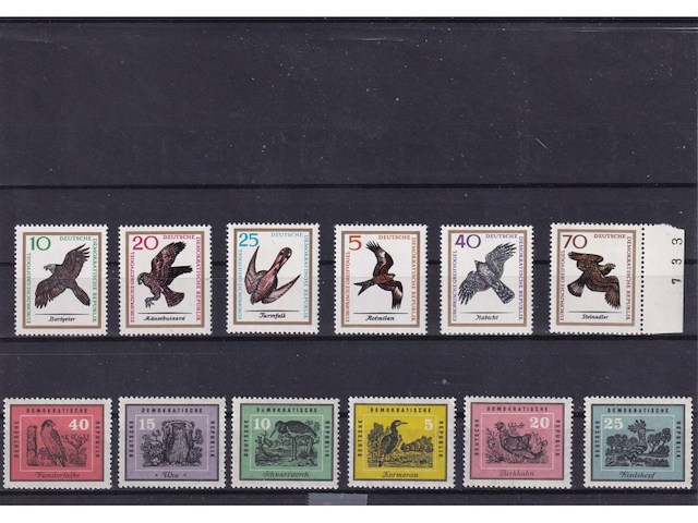 DDR Lot  Fauna