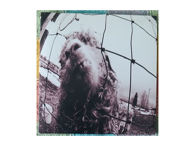 Pearl Jam – Vs
