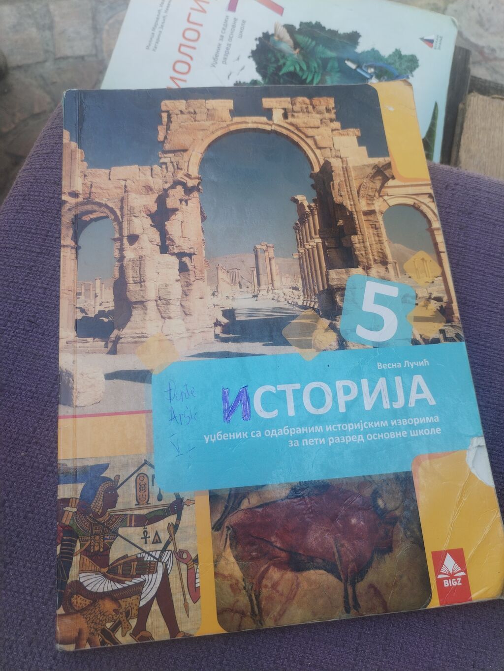 Istorija – udžbenik za 5. razred osnovne škole - Autor: Vesna Lučić -