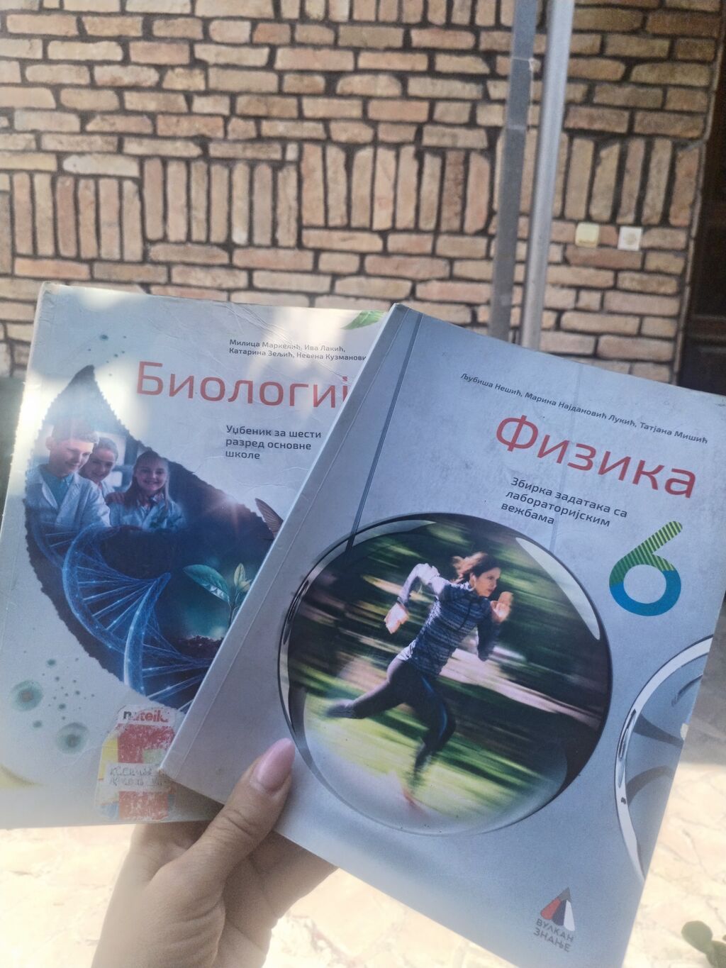 Udžbenici za 6. razred osnovne škole – Vulkan znanje - Biologija 6