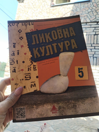 Likovna kultura 5 bigz