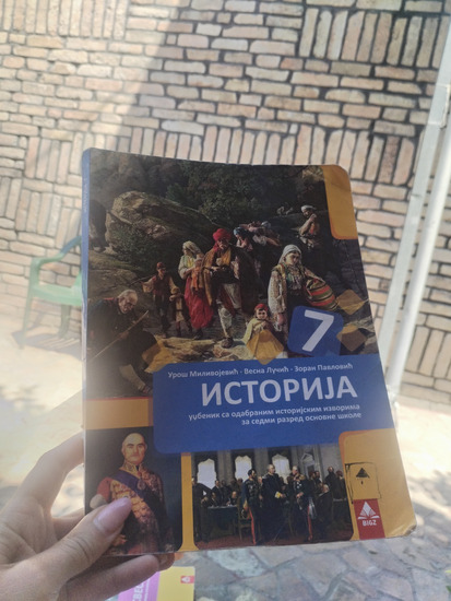 ISTORIJA 7, BIGZ