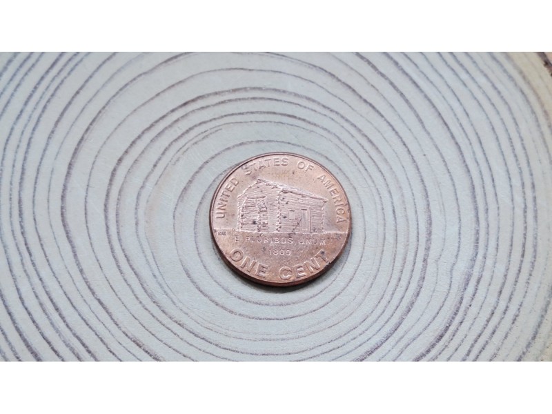 USA ONE CENT 2009 GODINA JUBILARAC
