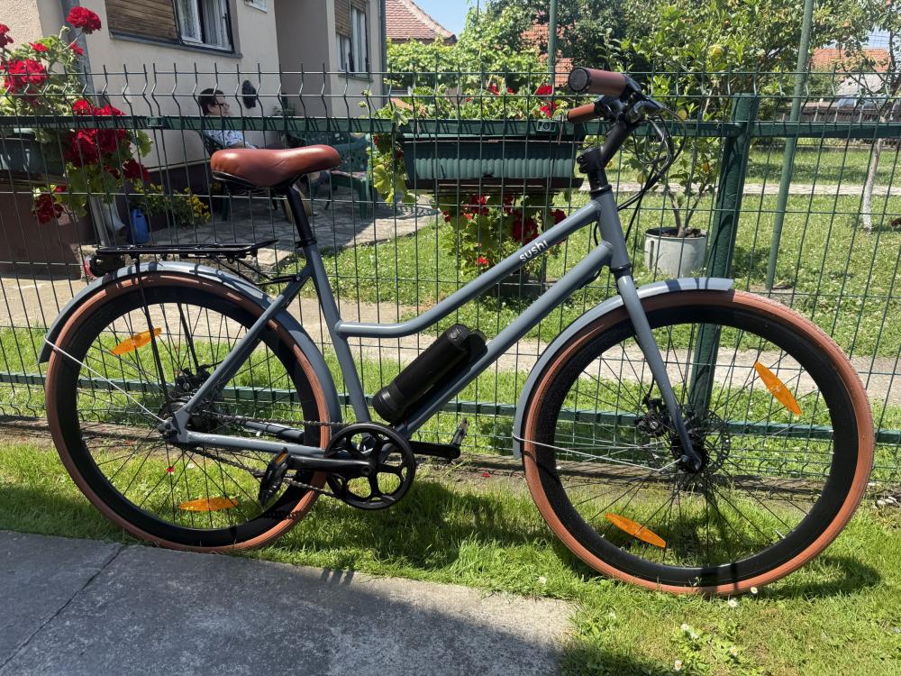 Sushi elektricni bicikl-kompletan