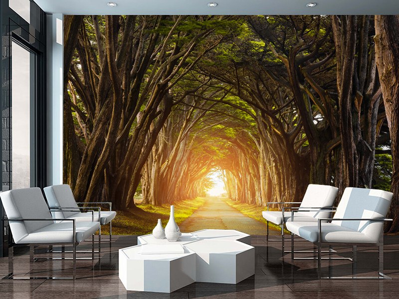 3D FOTO TAPETE 098