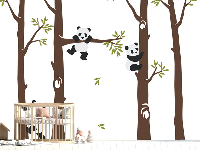 Panda Avantura