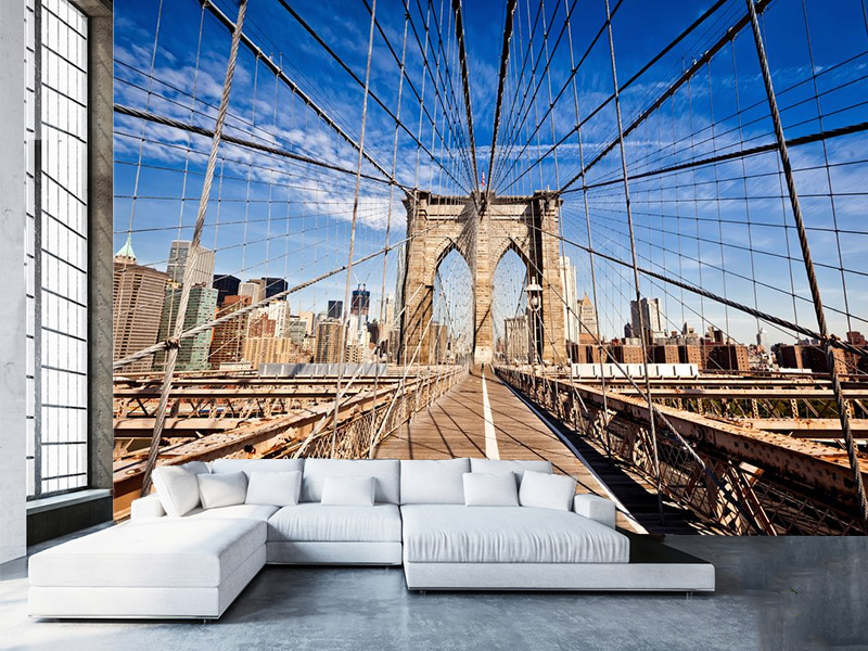 New York 008