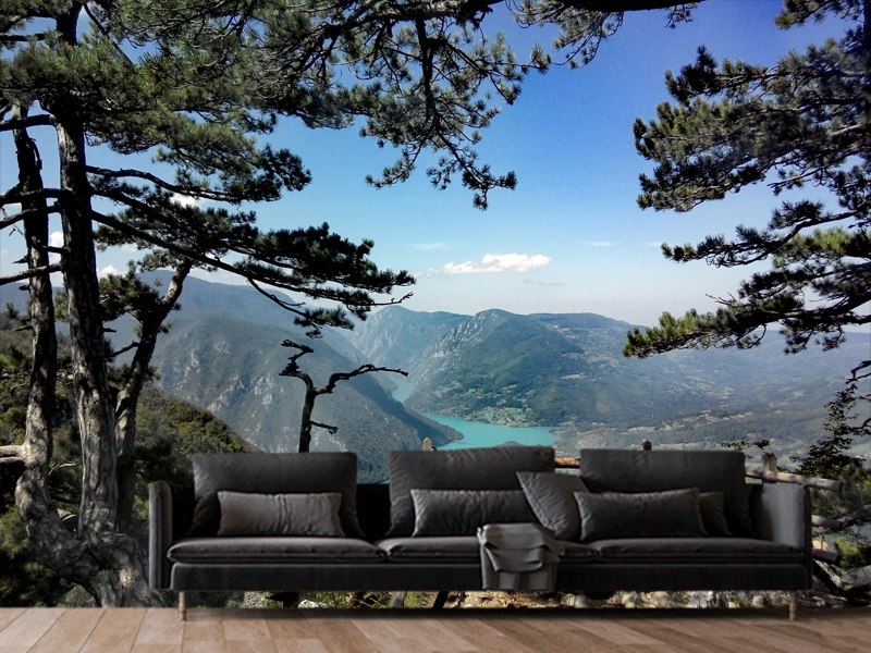 Pogled Kroz Borove Na Planinsku Dolinu