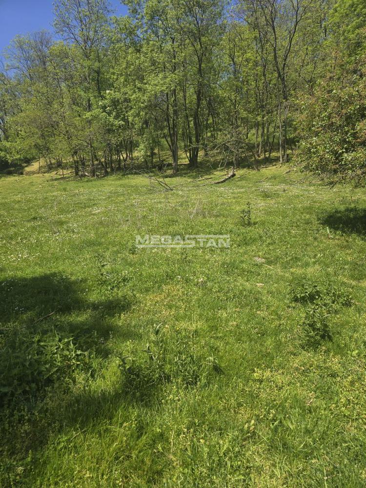 Plac sa šumom, Mali Požarevac, 99.500 eur, 42.44 ara
99.500 €